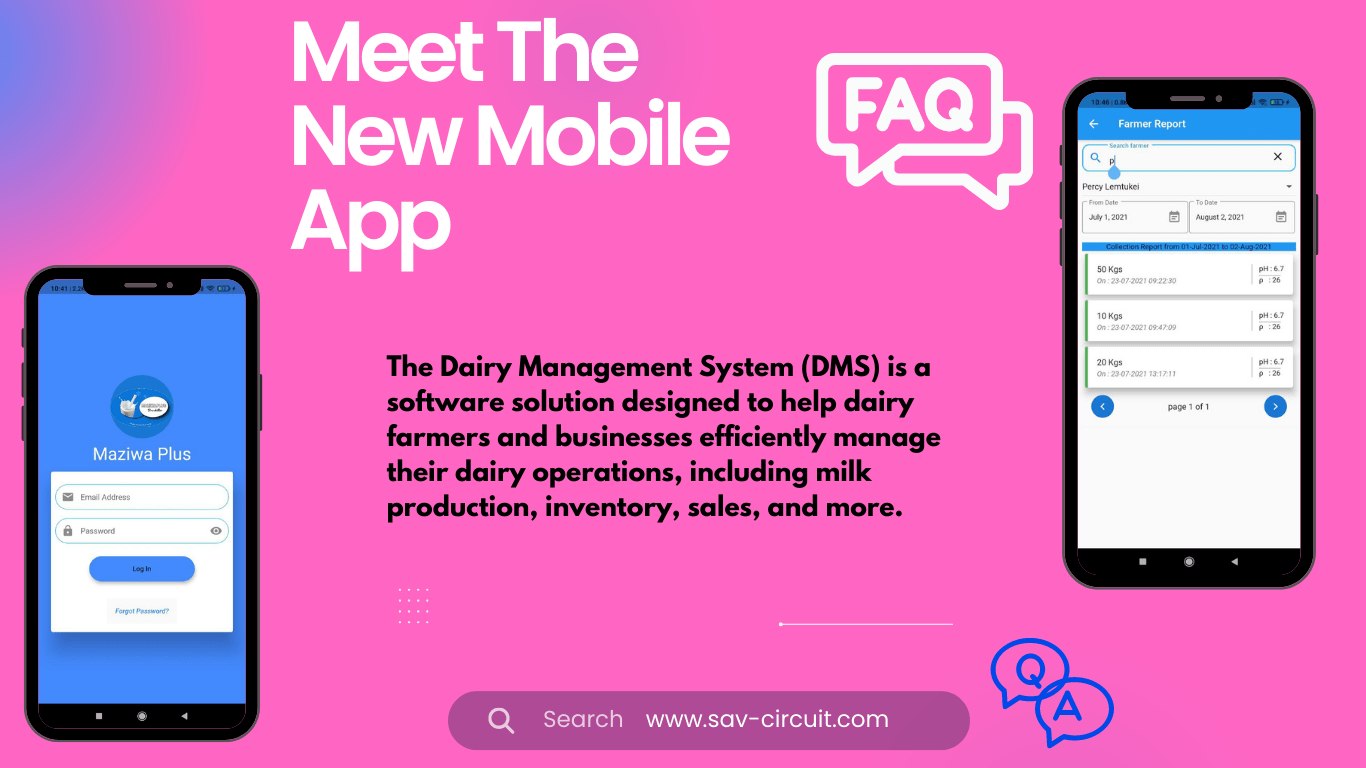 Demystifying the DMS: Frequently Asked Questions (FAQ) - Your Ultimate ...